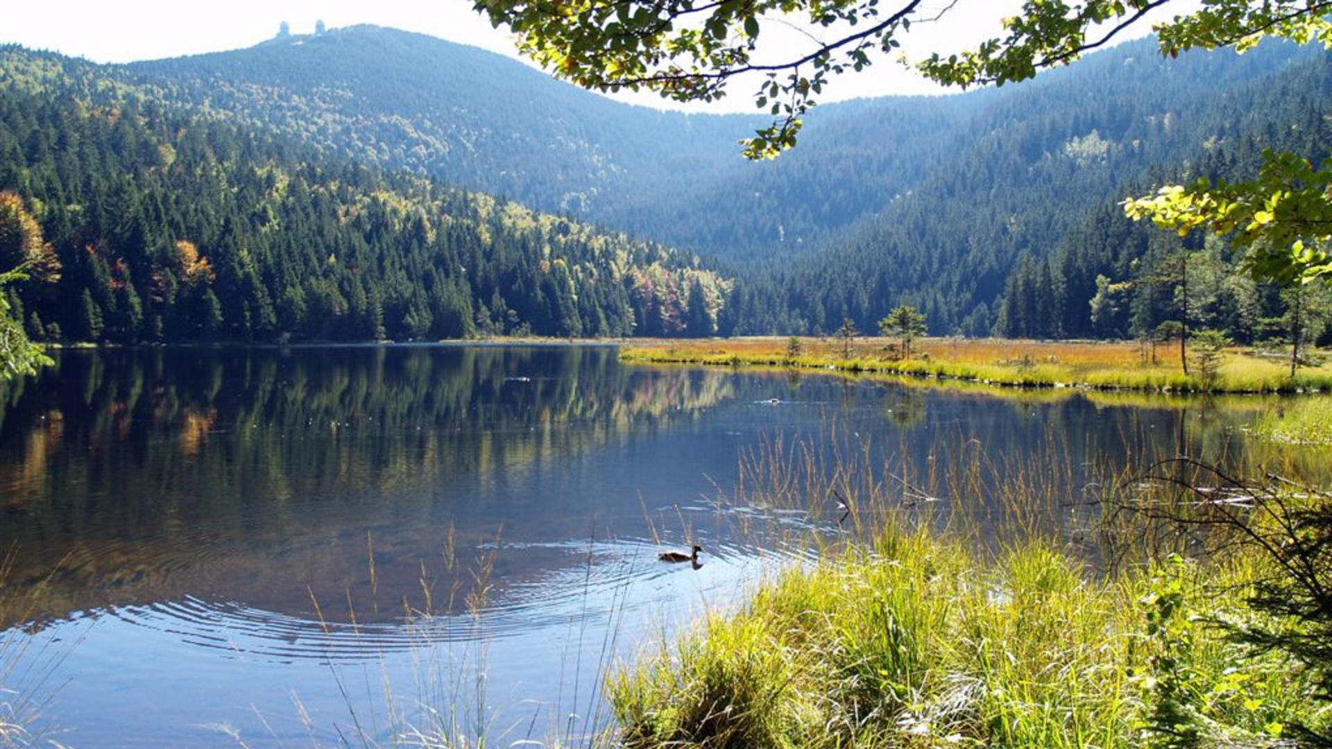 Wandern & Walken Bayerisch Eisenstein Wanderurlaub Bayerischer Wald ...